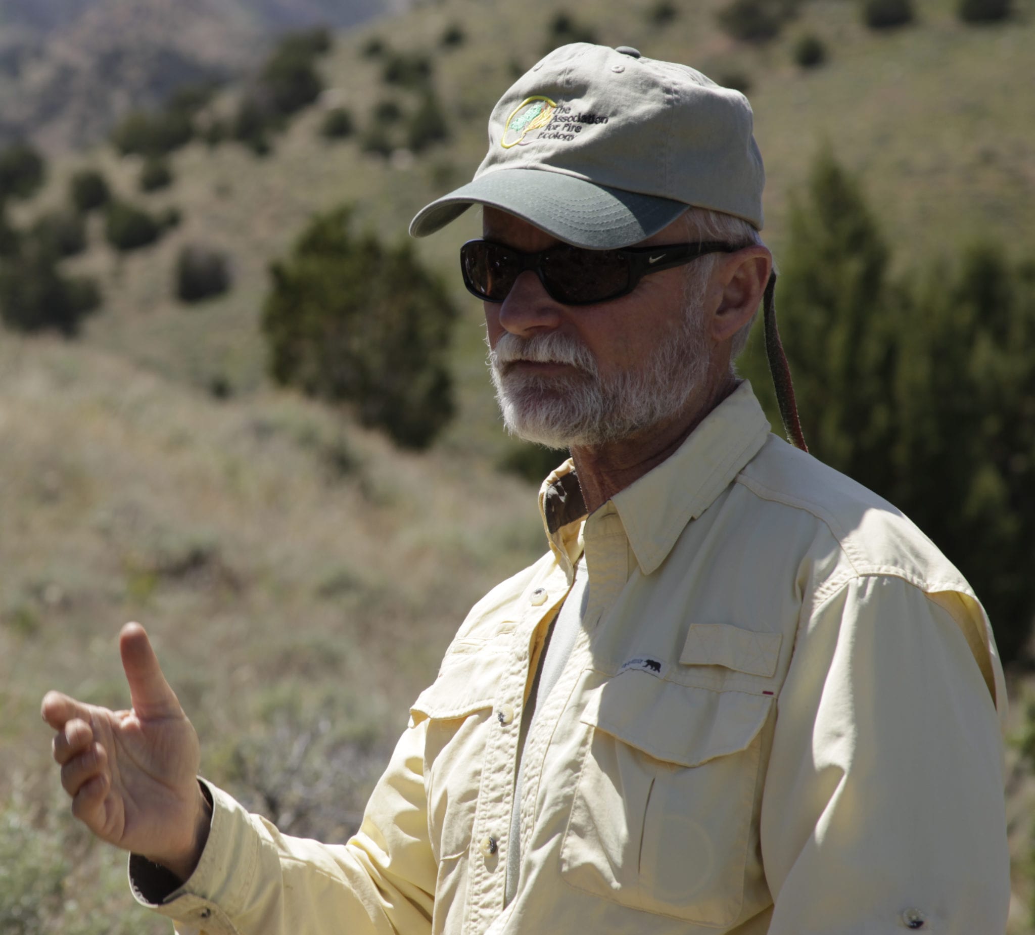 Home | Pinyon Juniper