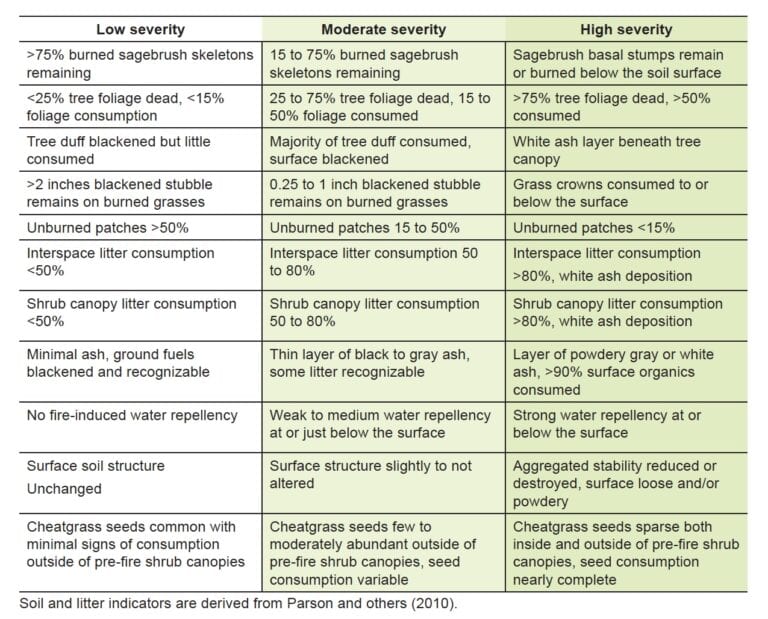 Home | Pinyon Juniper