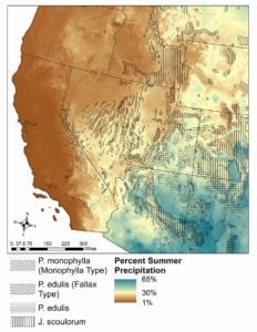 PJ101-Distribution & Climate | Pinyon Juniper